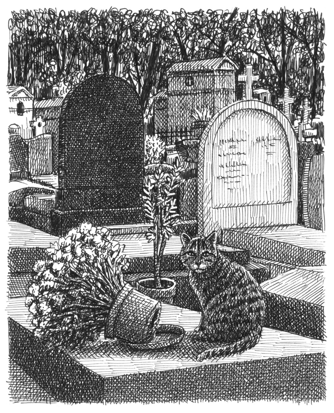 Cat and Flowers, Cemetery Art Print - Etsy
