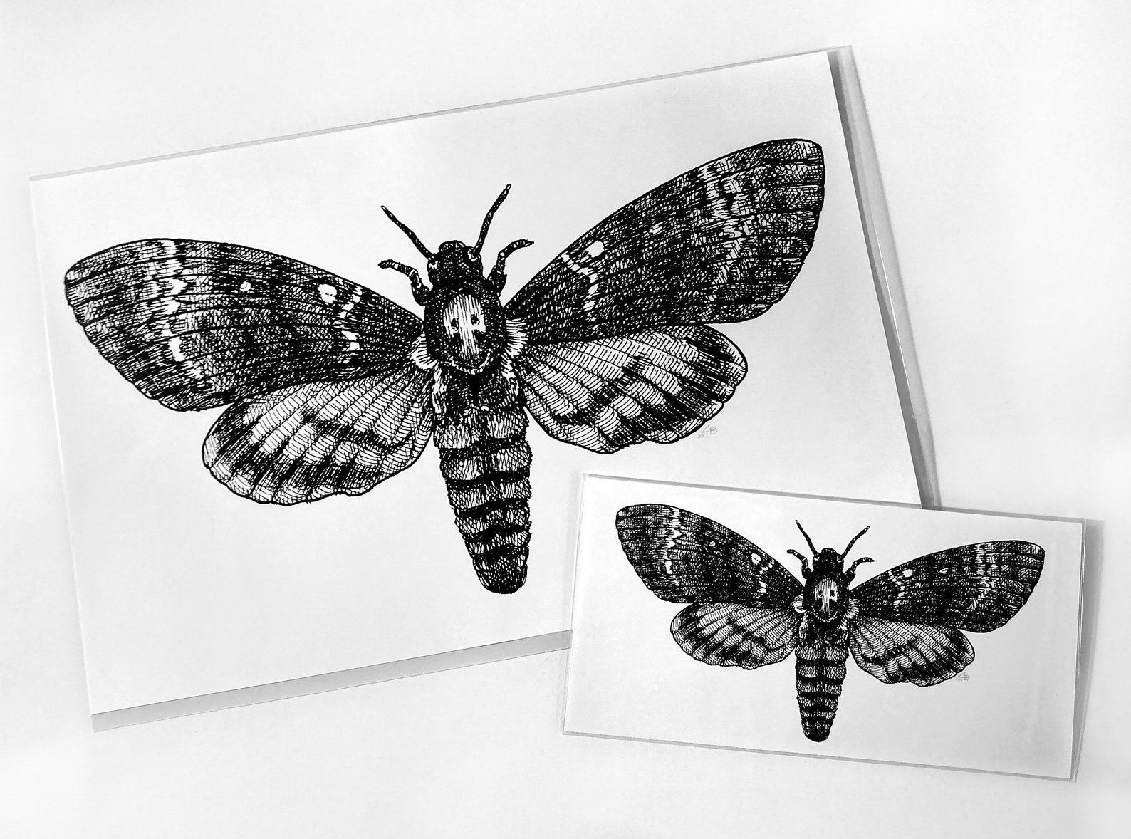 Death's-head Moth Art Print - Etsy