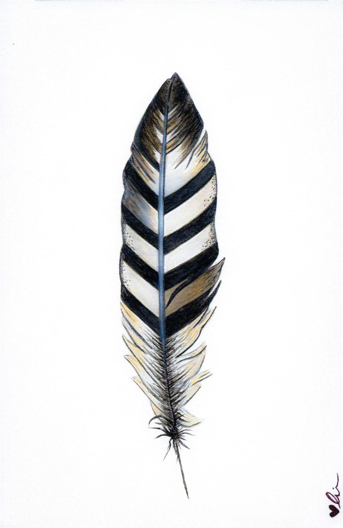 Jailbird Art Feather - Etsy