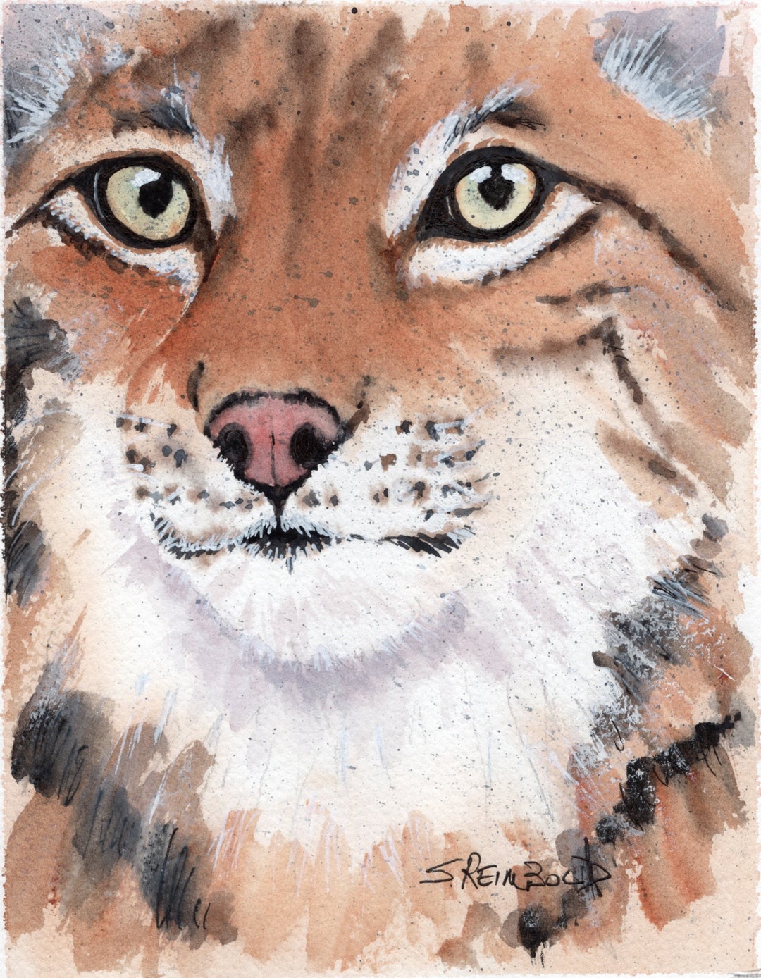 Bobcat Portrait, Bobcat Watercolor, Bobcat Painting, Original ...