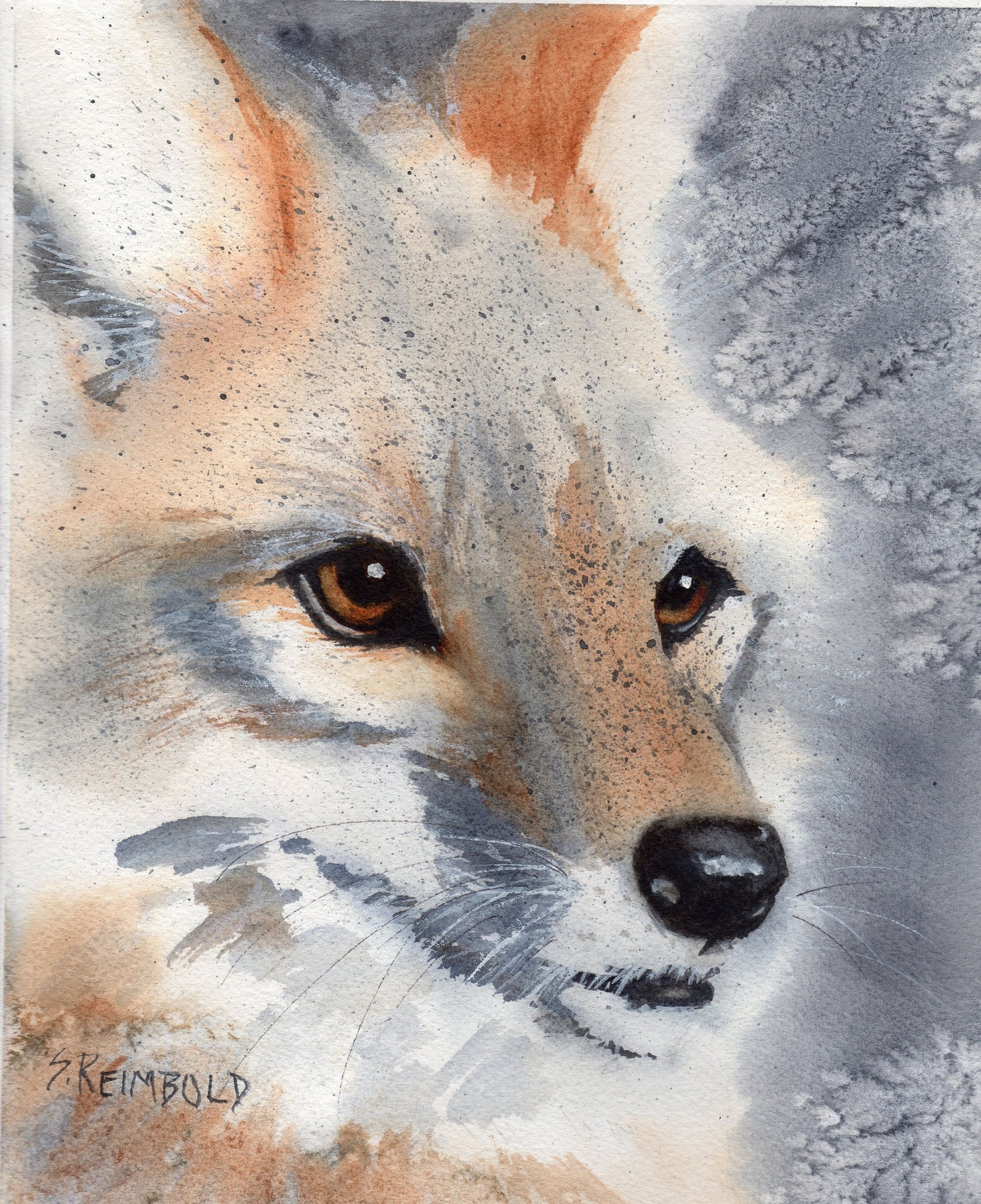 Gray Fox Portrait, Grey Fox, Fox Portrait, Fox Greeting Cards, Giclee ...
