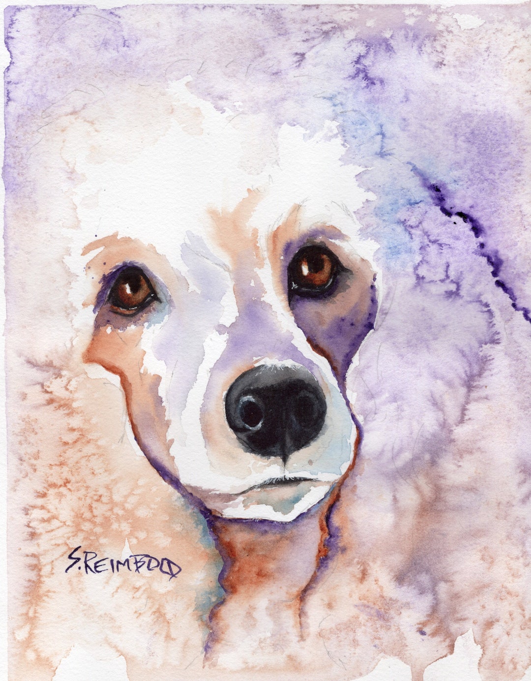 Original Watercolor Standard Poodle Portrait by Sue Reimbold - Etsy