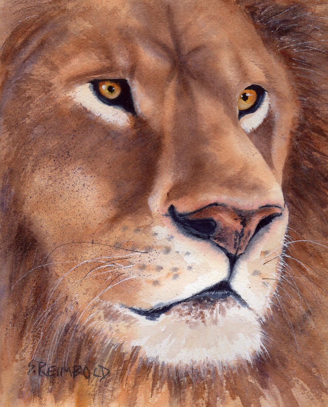 Lion Portrait, African Lion Portrait, Lion King Portrait, Lion Greeting ...