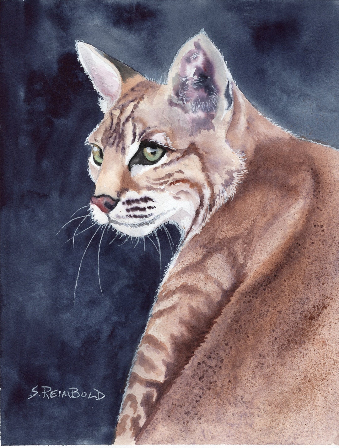Bobcat, Bobcat Painting, Wildlife Art, Original Watercolor by Sue ...