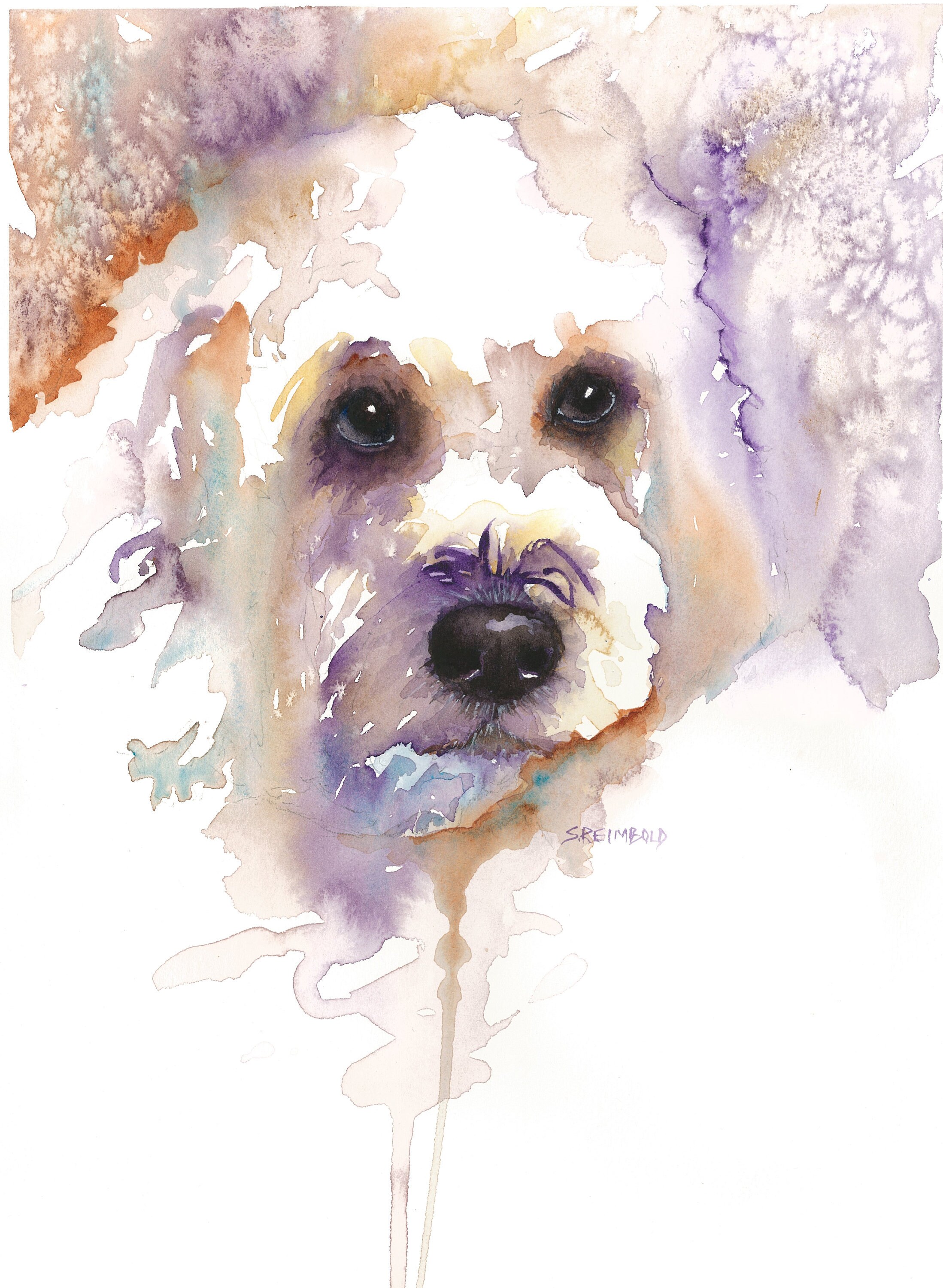 Labradoodle Portrait Poodle Portrait Labradoodle Greeting - Etsy