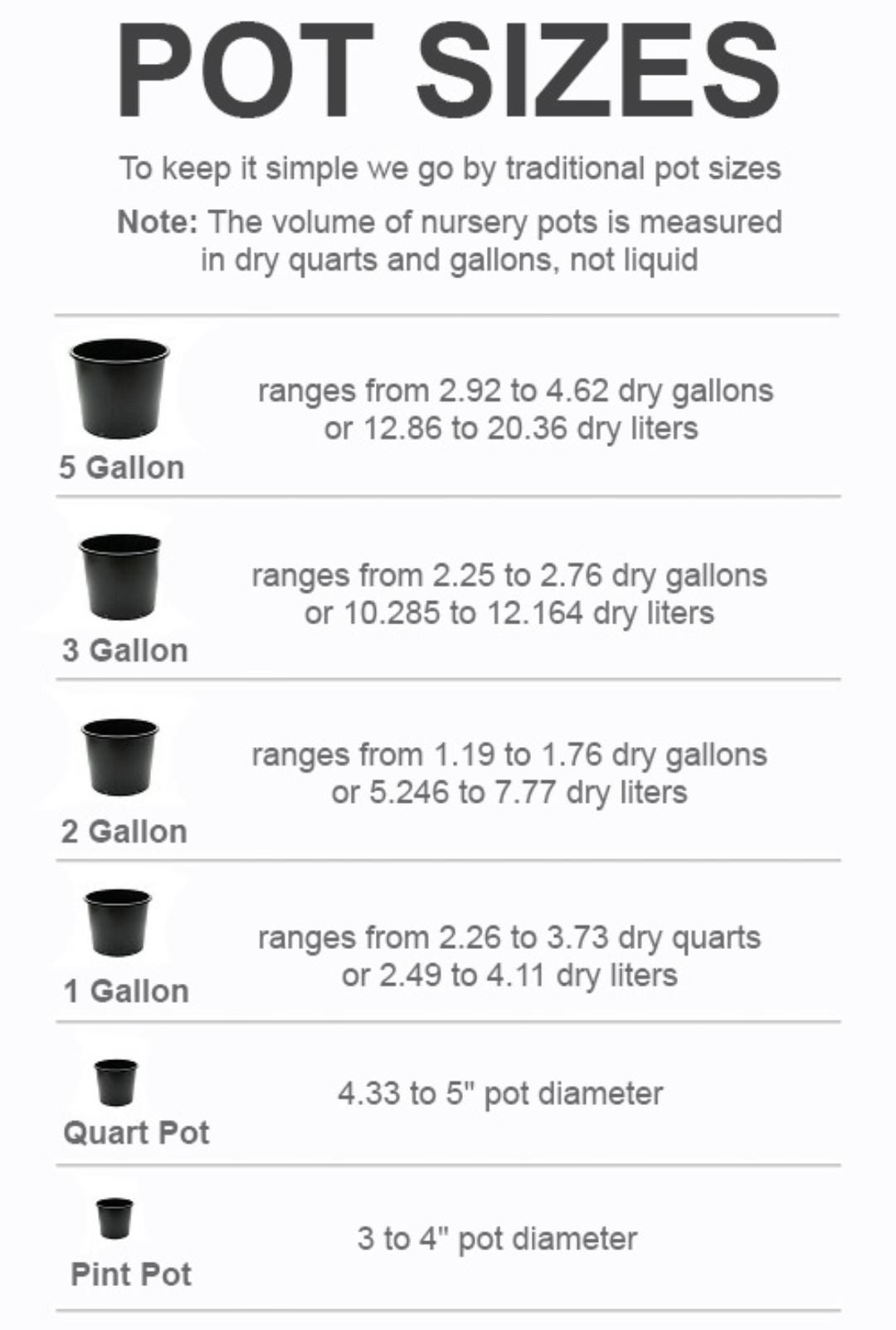 Hydrangeas Niko Blue 1 Gallon Pot Beautiful Cotton Hearty Blooms - Etsy