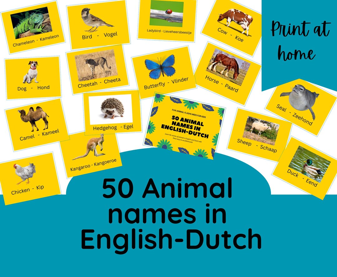 50 Animal Flashcards English-dutch,bilingual Animal Flashcards ...