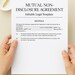 Mutual NDA Template for Small Businesses & Creators: Protect, Plan and ...