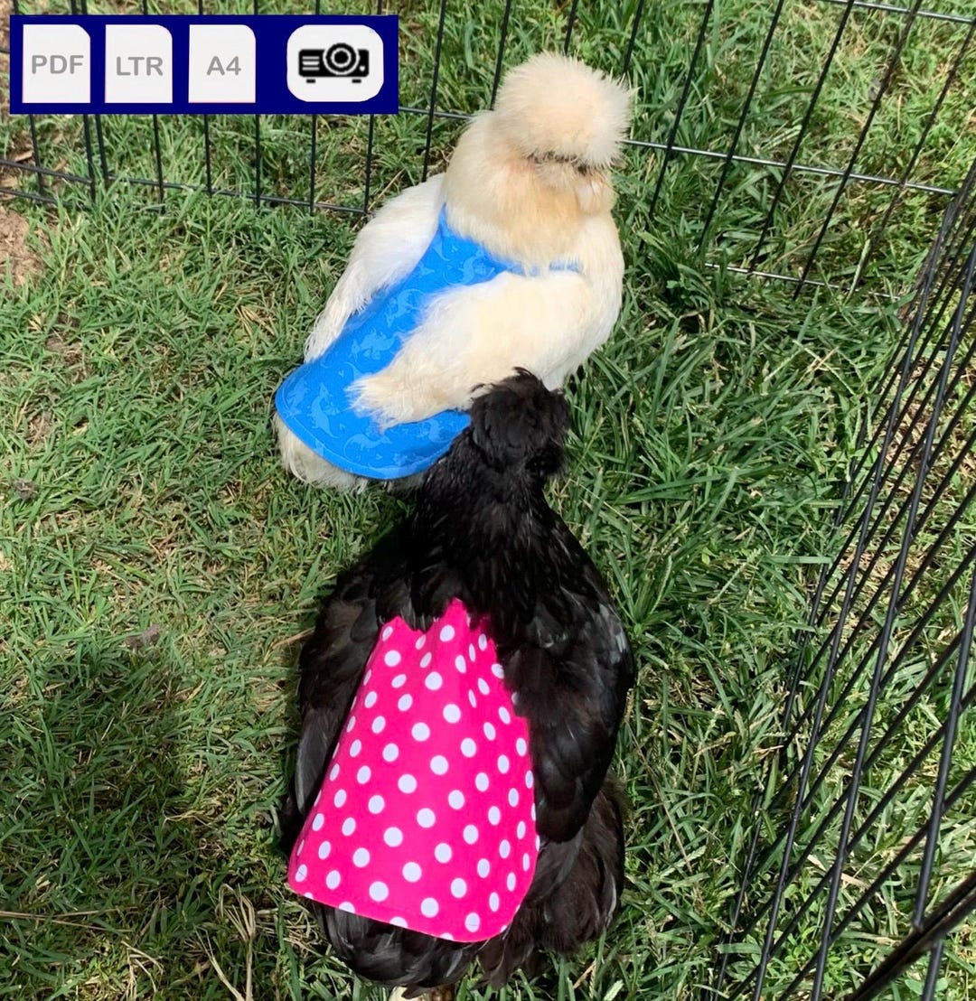Chicken Saddle Sewing Pattern: Four Sizes (PDF Download) - Etsy