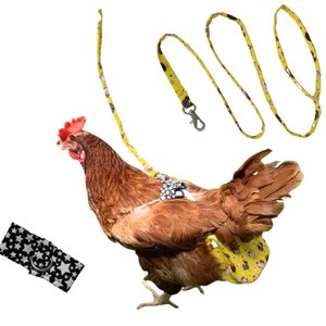 Chicken Diaper Sewing Pattern: Three Sizes S-M-L (PDF Pattern) - Etsy