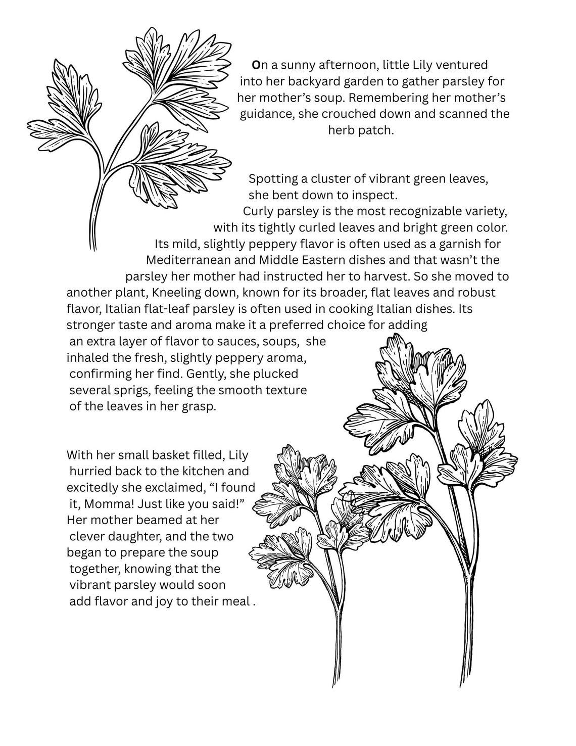 Basic Herbal Identification Printable Book - Etsy