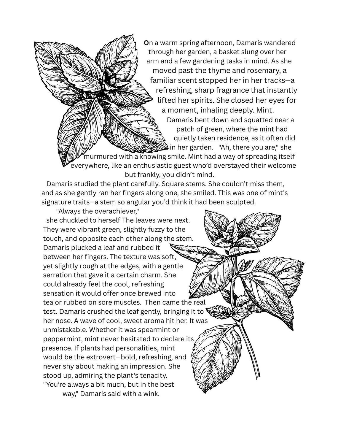 Basic Herbal Identification Printable Book - Etsy