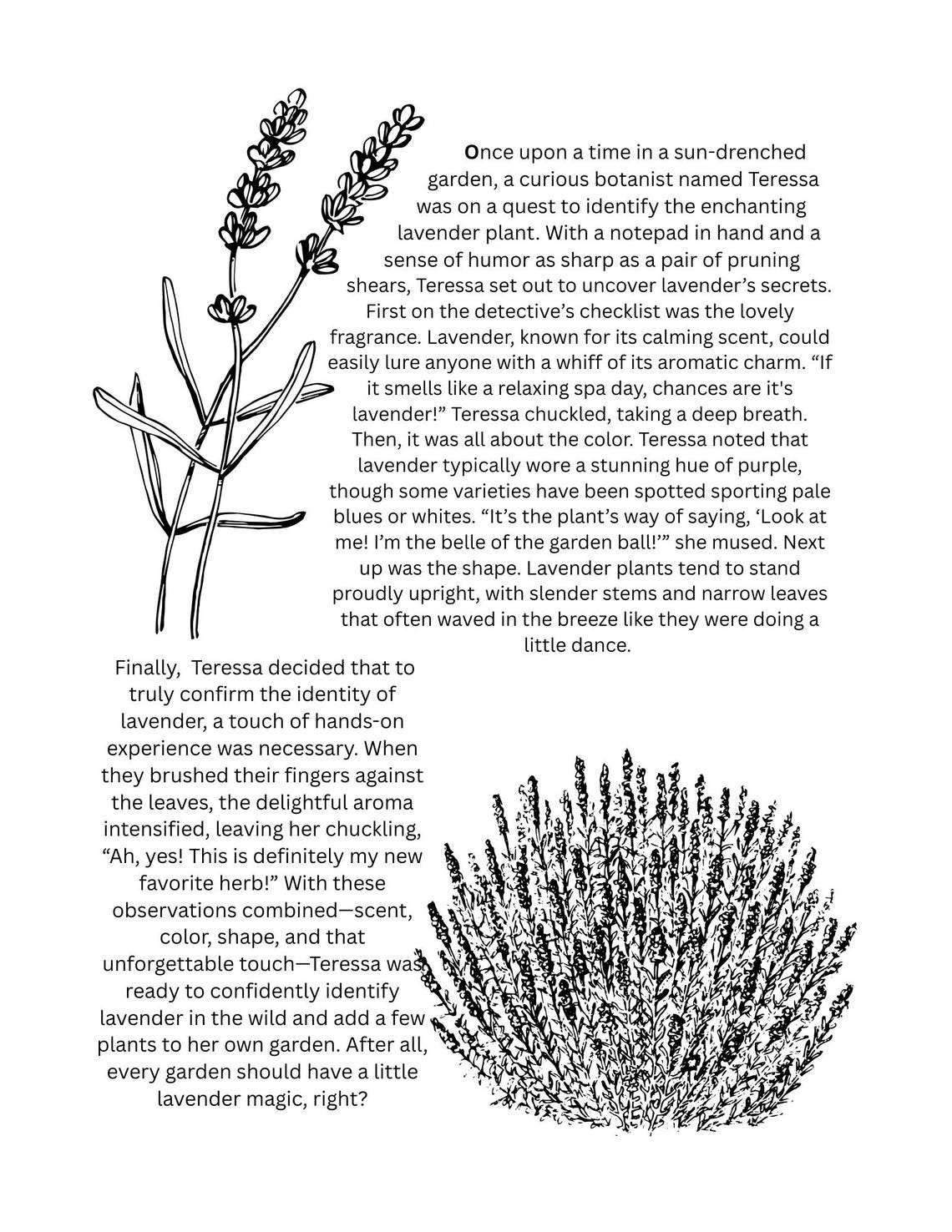 Basic Herbal Identification Printable Book - Etsy