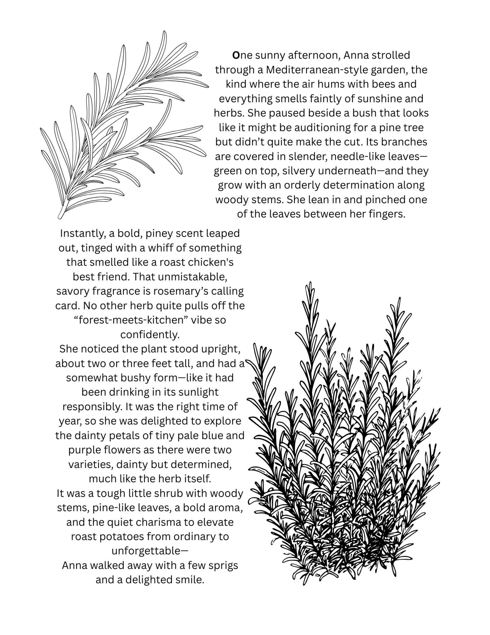 Basic Herbal Identification Printable Book - Etsy