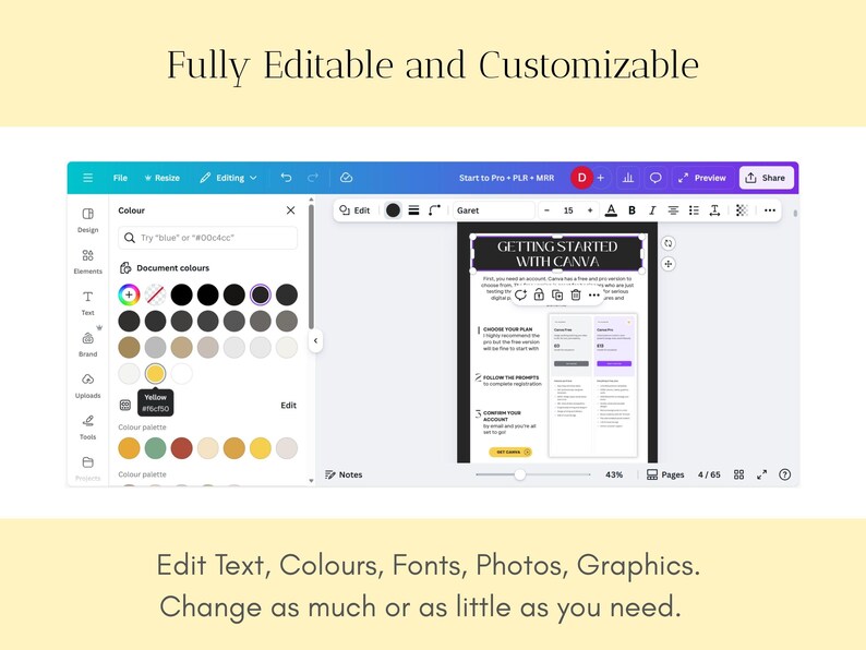 Start to Pro Canva Guide, MRR PLR, Done-for-you Course - Etsy Australia