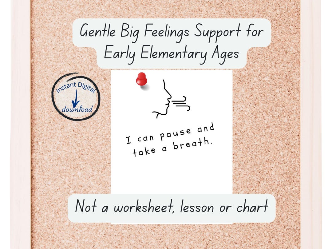 Kid’s Big Feelings Emotional Regulation Printable for Home, Class, Calm ...