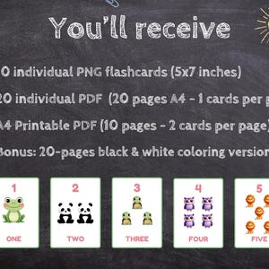 Numbers 1–20 With Animals – Cute Kawaii Flashcards & Coloring Pages ...