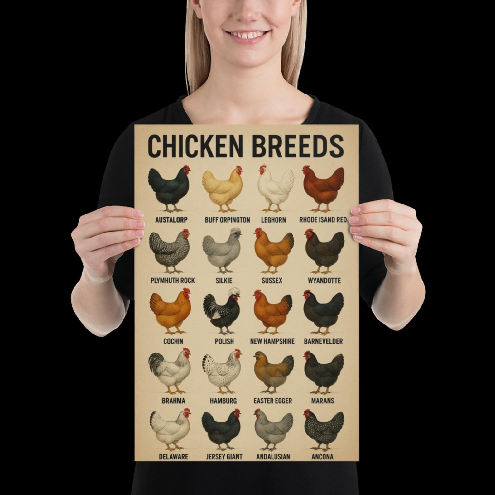 Chicken Breed Poster - Chicken Poster - Types of Chickens - Chicken Art ...