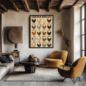 Chicken Breed Poster - Chicken Poster - Types of Chickens - Chicken Art ...
