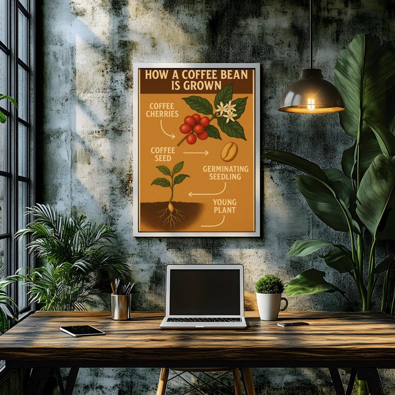 Coffee Poster - How Coffee is Grown - Coffee Art - the Coffee Plant ...