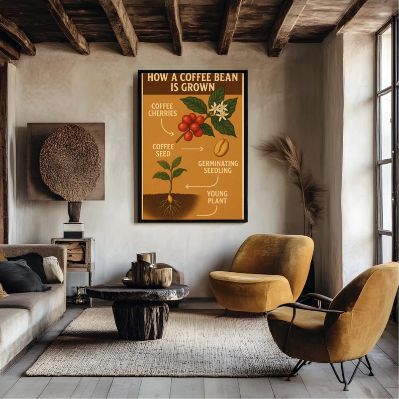 Coffee Poster - How Coffee is Grown - Coffee Art - the Coffee Plant ...