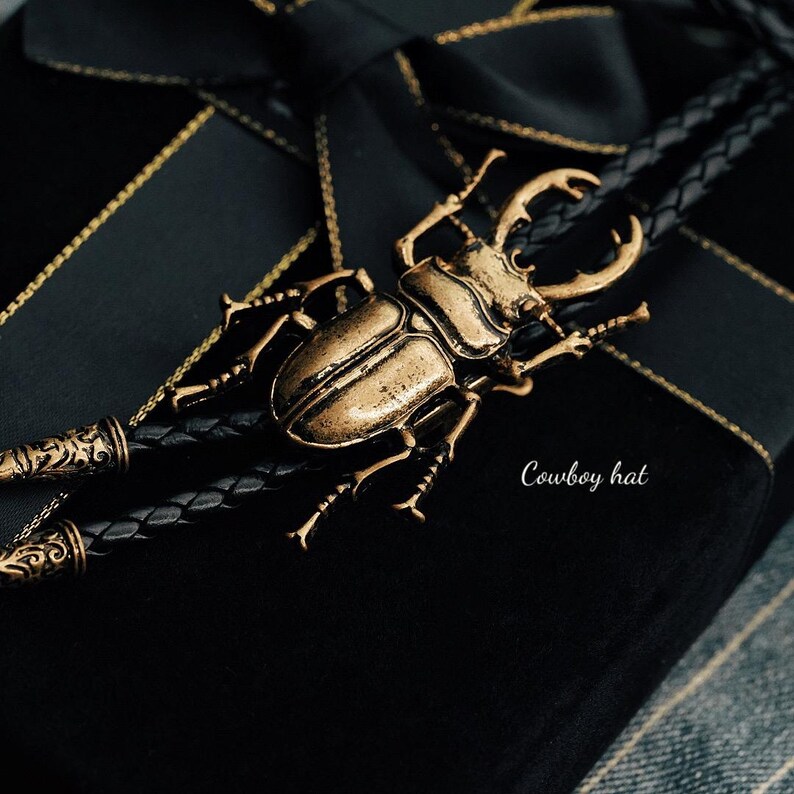 Stag Beetle Bolo Tie: Bronze Insect Bolo Ties for Men Western Cowboy ...