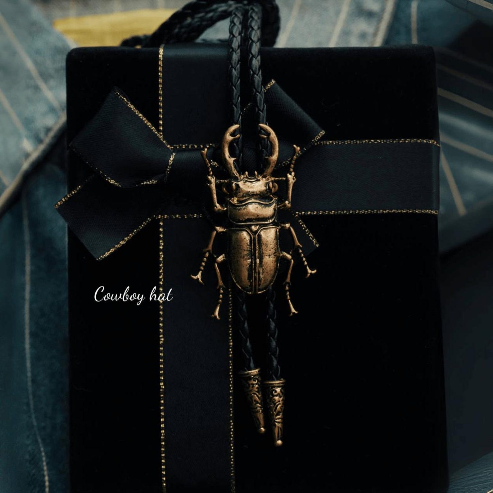 Stag Beetle Bolo Tie: Bronze Insect Bolo Ties for Men Western Cowboy ...