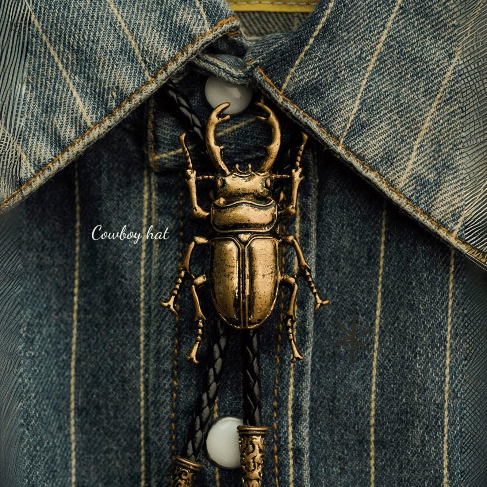 Stag Beetle Bolo Tie: Bronze Insect Bolo Ties for Men Western Cowboy ...