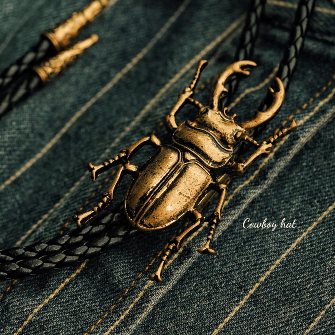 Stag Beetle Bolo Tie: Bronze Insect Bolo Ties for Men Western Cowboy ...