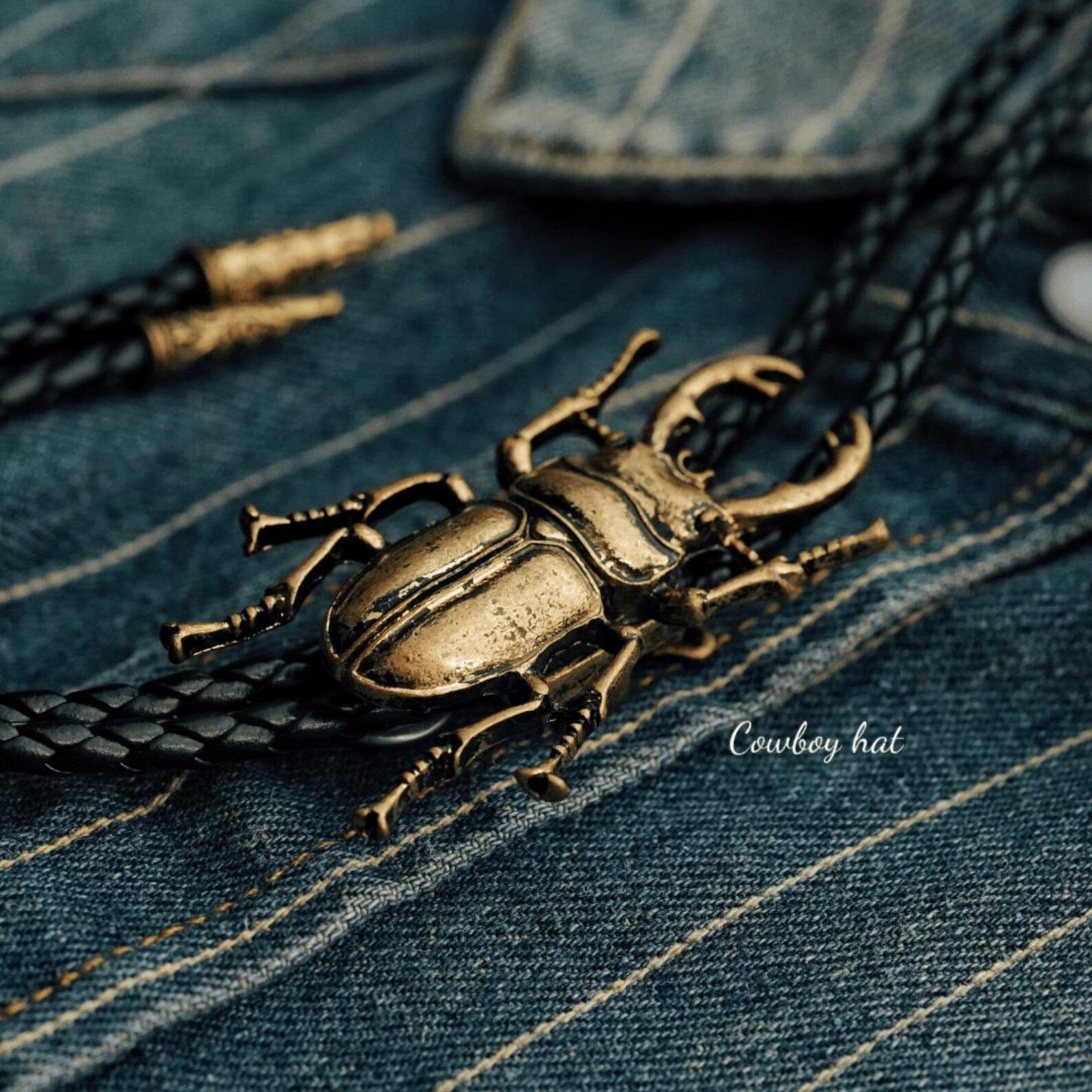 Stag Beetle Bolo Tie: Bronze Insect Bolo Ties for Men Western Cowboy ...