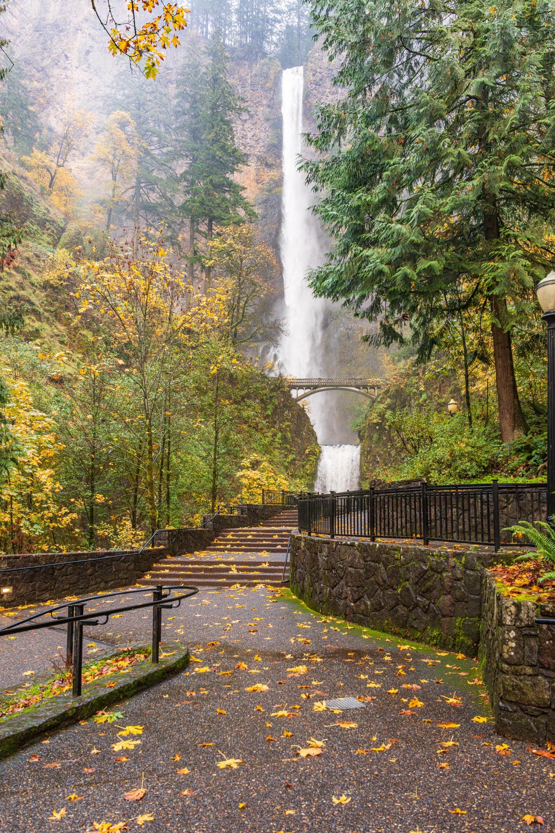 Multnomah Falls Art Print | Columbia River Gorge, Oregon Waterfall - Etsy