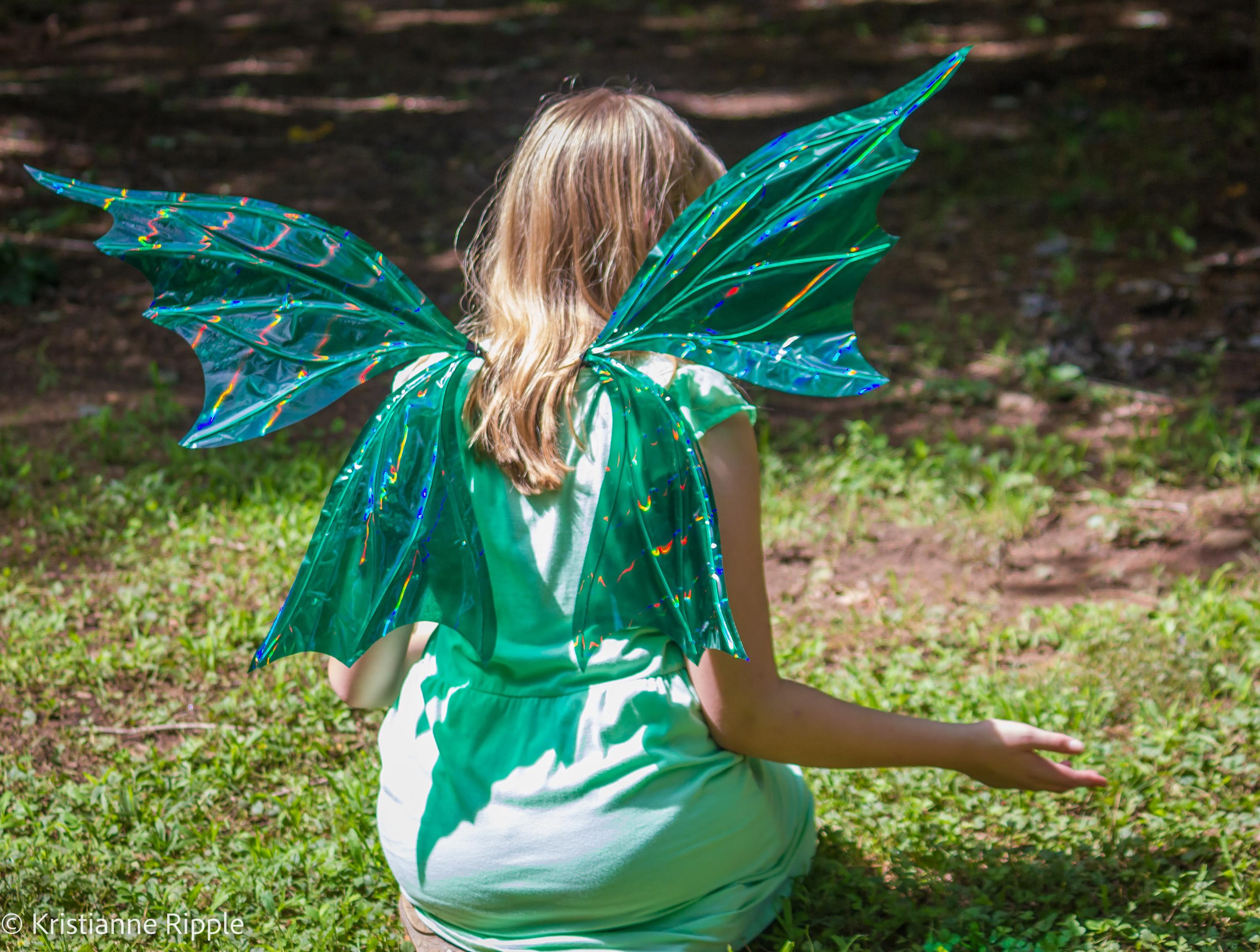 Forest Fairy Wing - Costume Cosplay Fantasy Accessory Halloween Magical ...