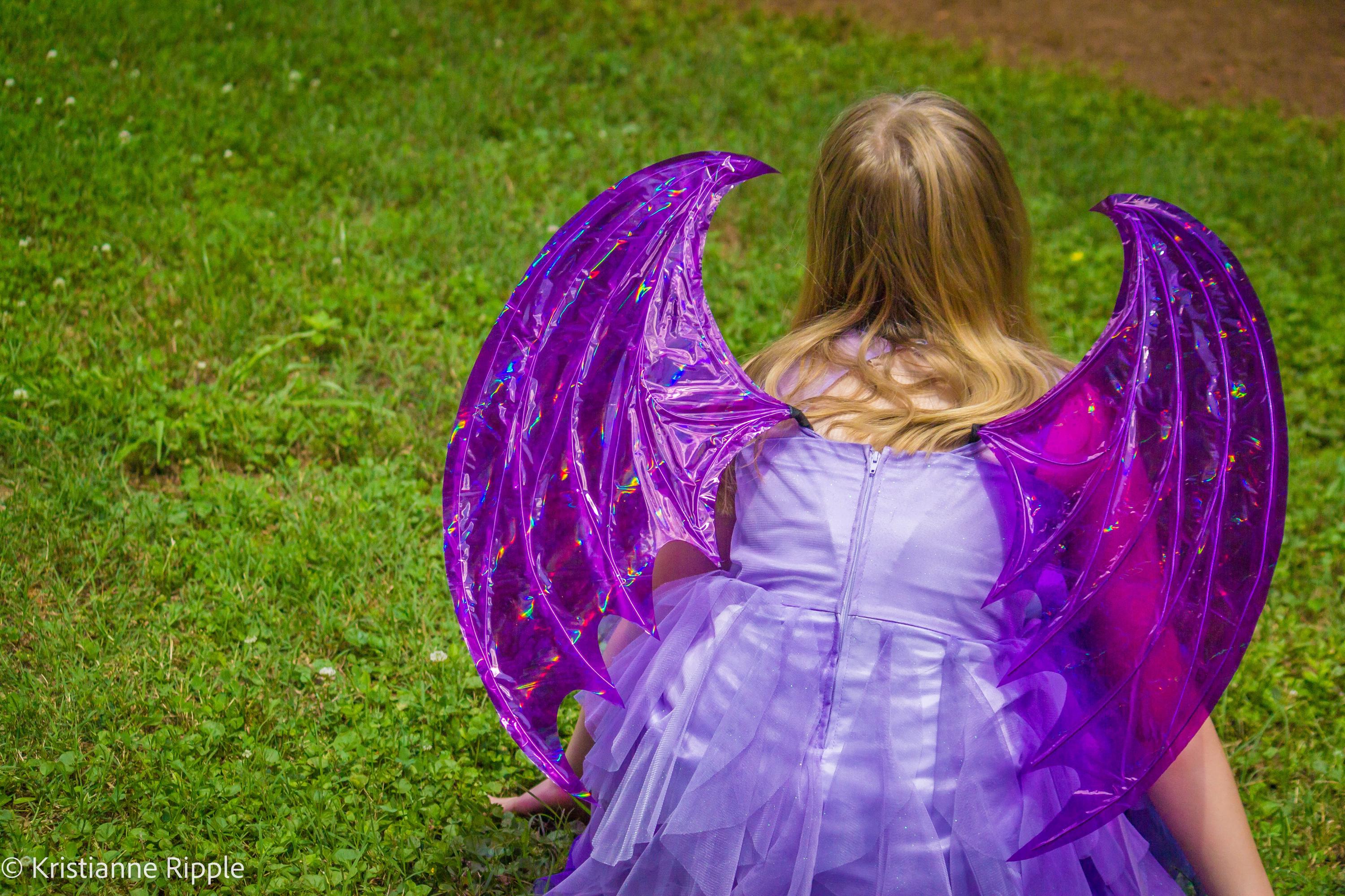 Moon Fairy Wing - Costume Cosplay Fantasy Accessory Halloween Magical ...