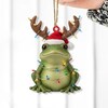 Personalized Tree Frog Ornament - Frog Christmas Ornaments - Unique ...