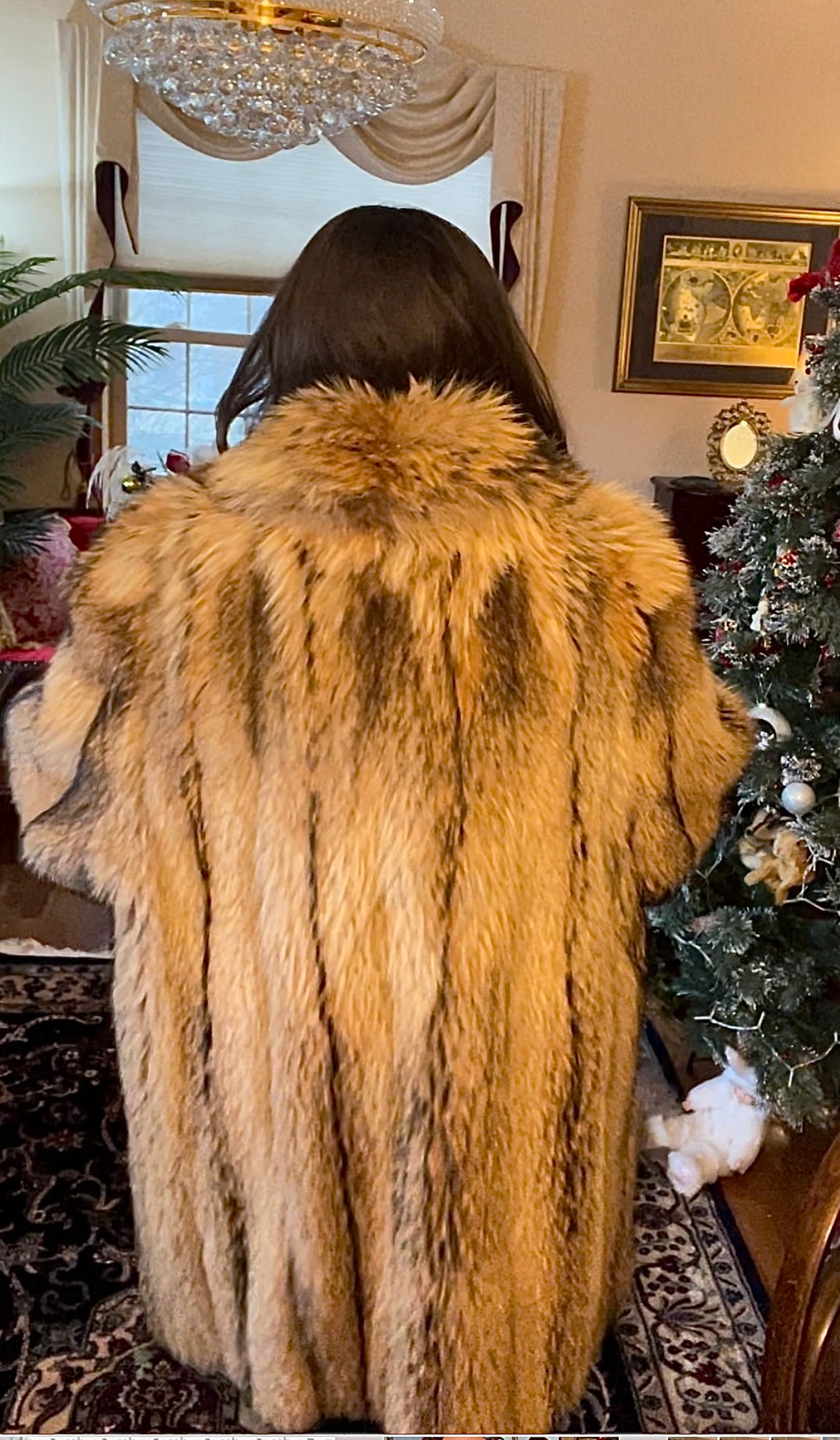 Spacious Vintage Genuine Tanuki Raccoon Fur Medium Length Coat Finn ...