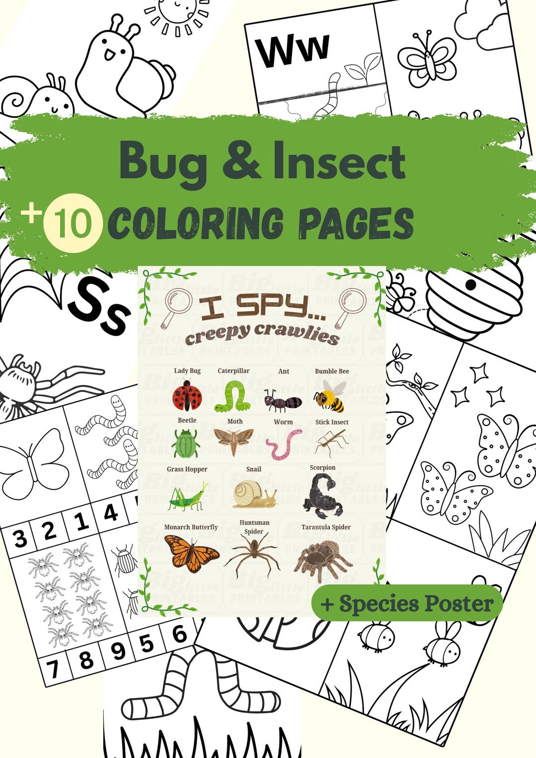 Bugs & Insects Coloring Pages + Species Poster - Etsy