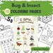 Bugs & Insects Coloring Pages + Species Poster - Etsy