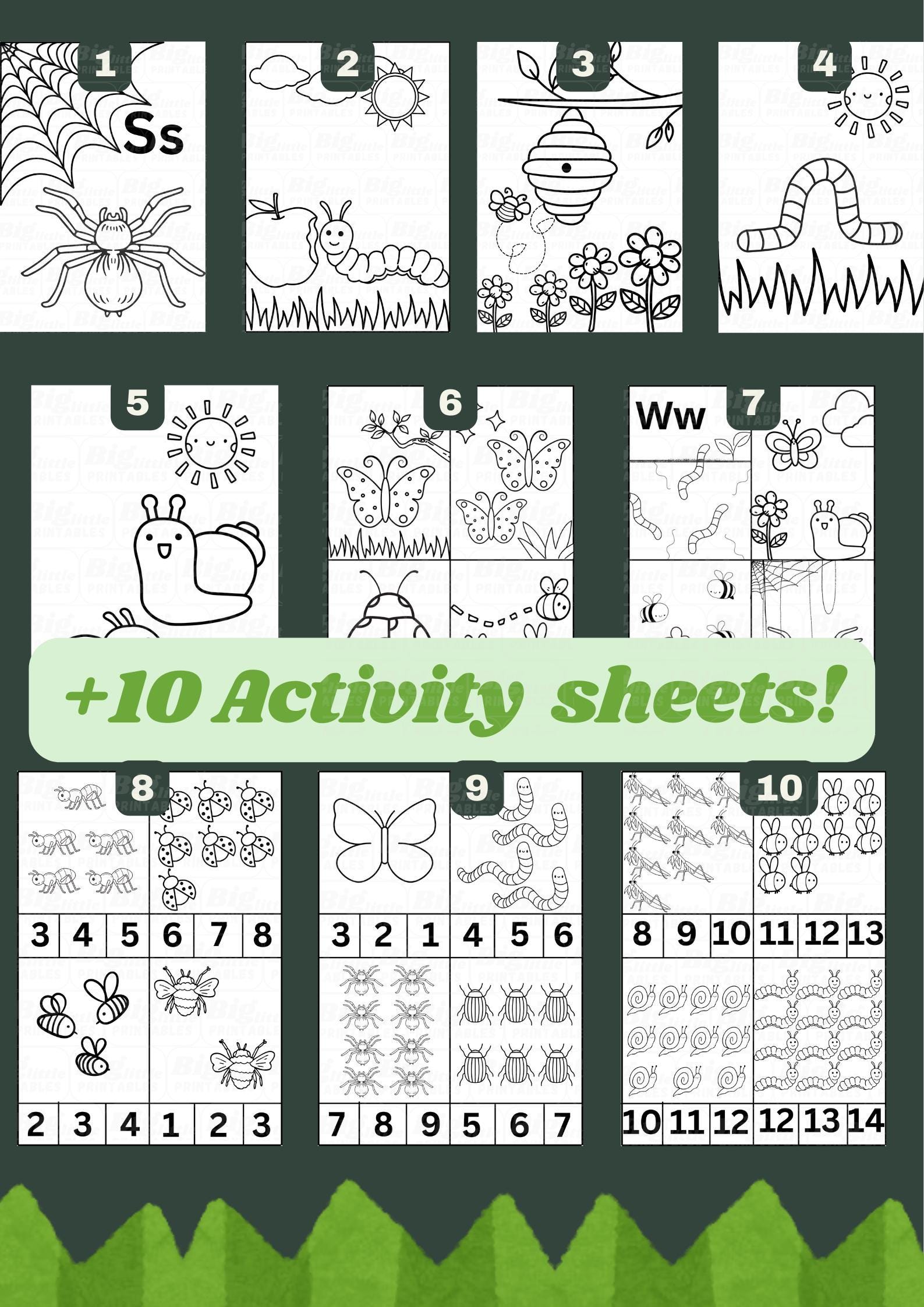 Bugs & Insects Coloring Pages + Species Poster - Etsy