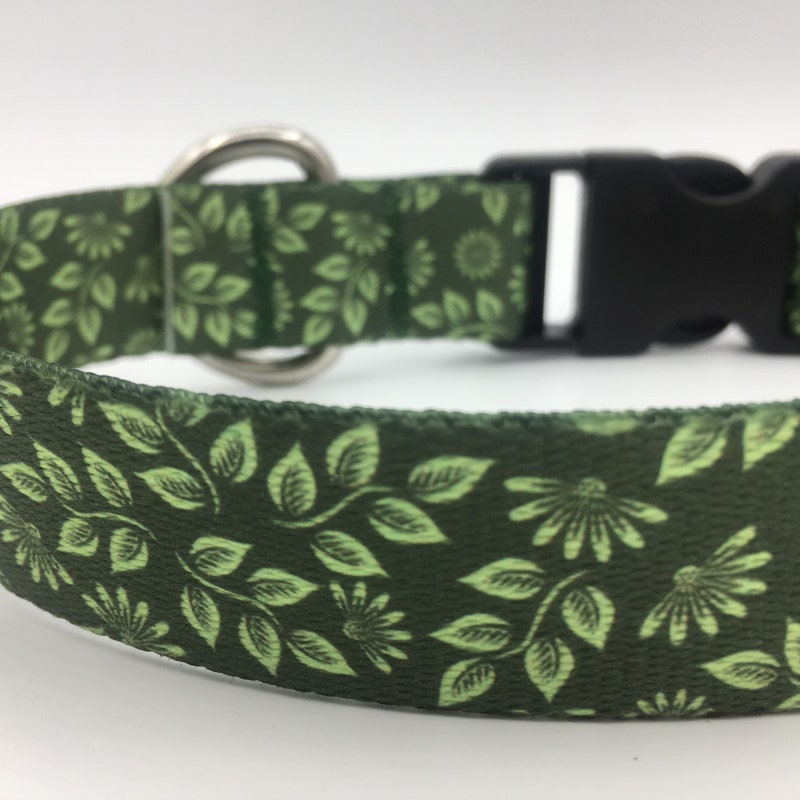 Green Dog Collar - Etsy