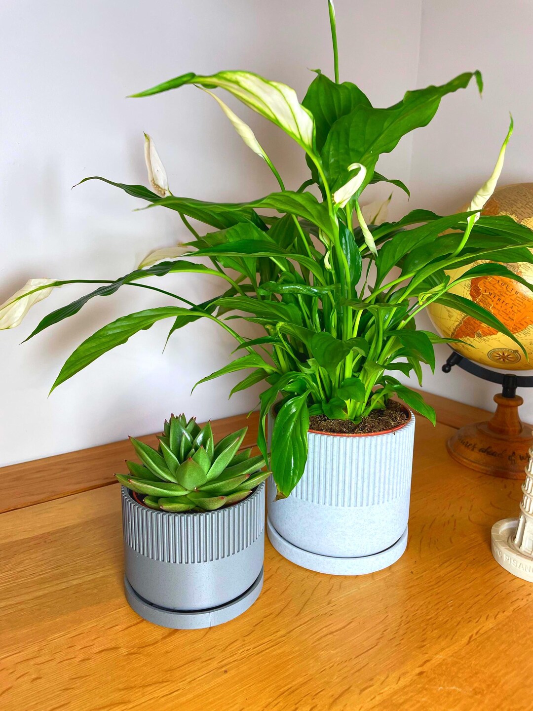 Mid-century Modern Planter Pot | Custom Colours | Stylish Design | Drip ...