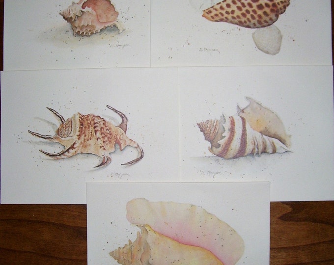 Doris Morgan Note Cards Seashells - Etsy