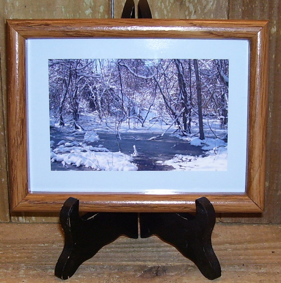 Photo of Snow in Swamp - Shades of Blue & Brown - 5" X 7" Framed Winter ...