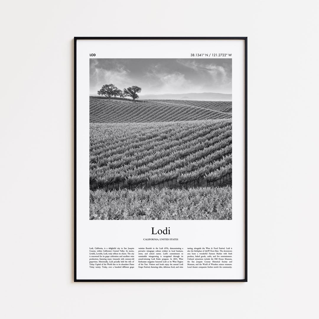 Lodi Black and White Print, Lodi Photo Poster, Lodi Travel Poster Gift ...