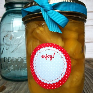 Cottage Chic Red & Blue Canning Jar Labels, Gingham Polka Dot Round ...