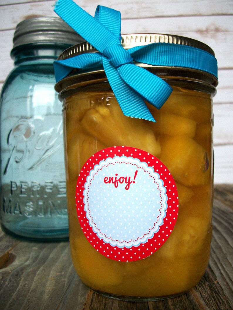 Cottage Chic Red & Blue Canning Jar Labels Gingham Polka Dot | Etsy