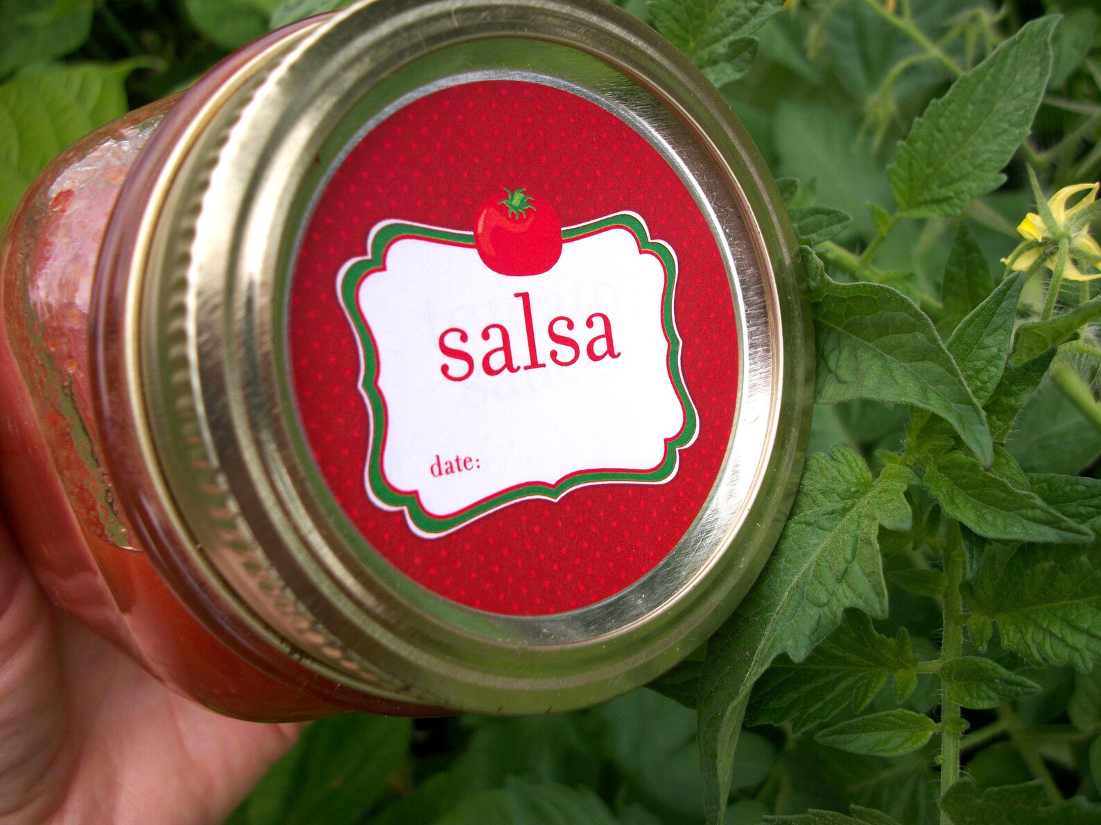 Cute Salsa Tomato Canning Jar Labels, Round Red Mason Jar Stickers for ...