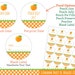 Gingham Peach Canning Jar Labels, Printed Round Mason Jar Stickers for ...