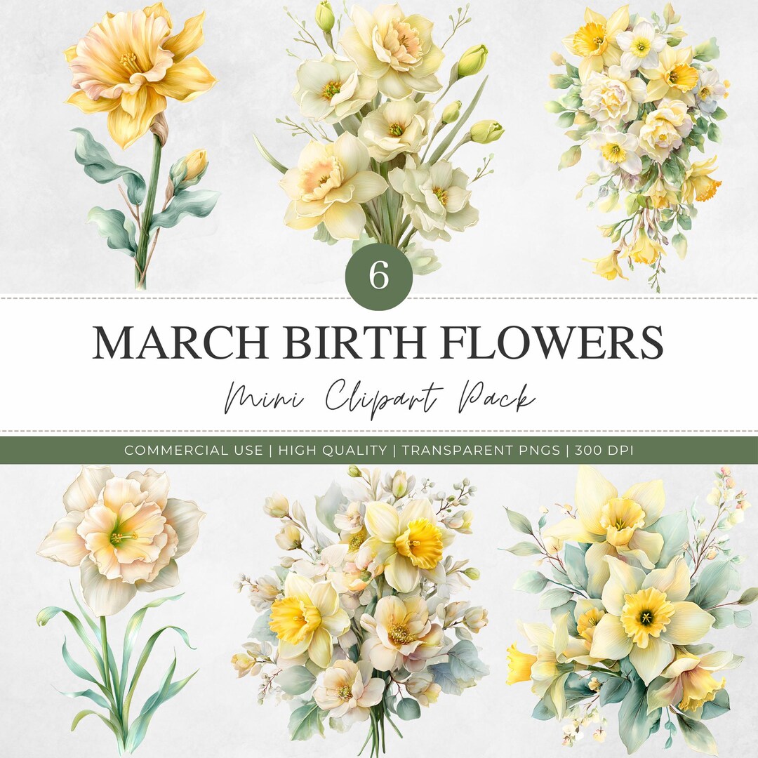 March Birth Month Flower Clipart | Watercolor Daffodil & Jonquil Pngs ...