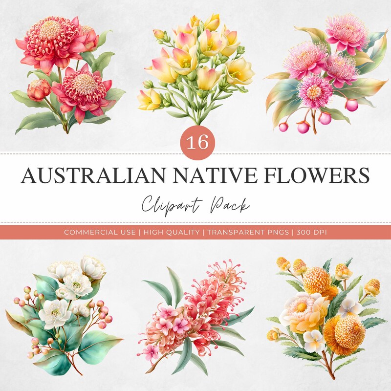 Australian Native Flowers - Etsy Australia