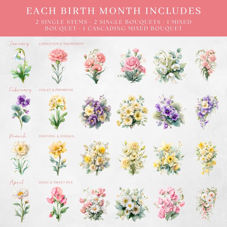 Birth Month Flower Clipart Bundle | 72 Watercolor Floral PNG | Birthday ...